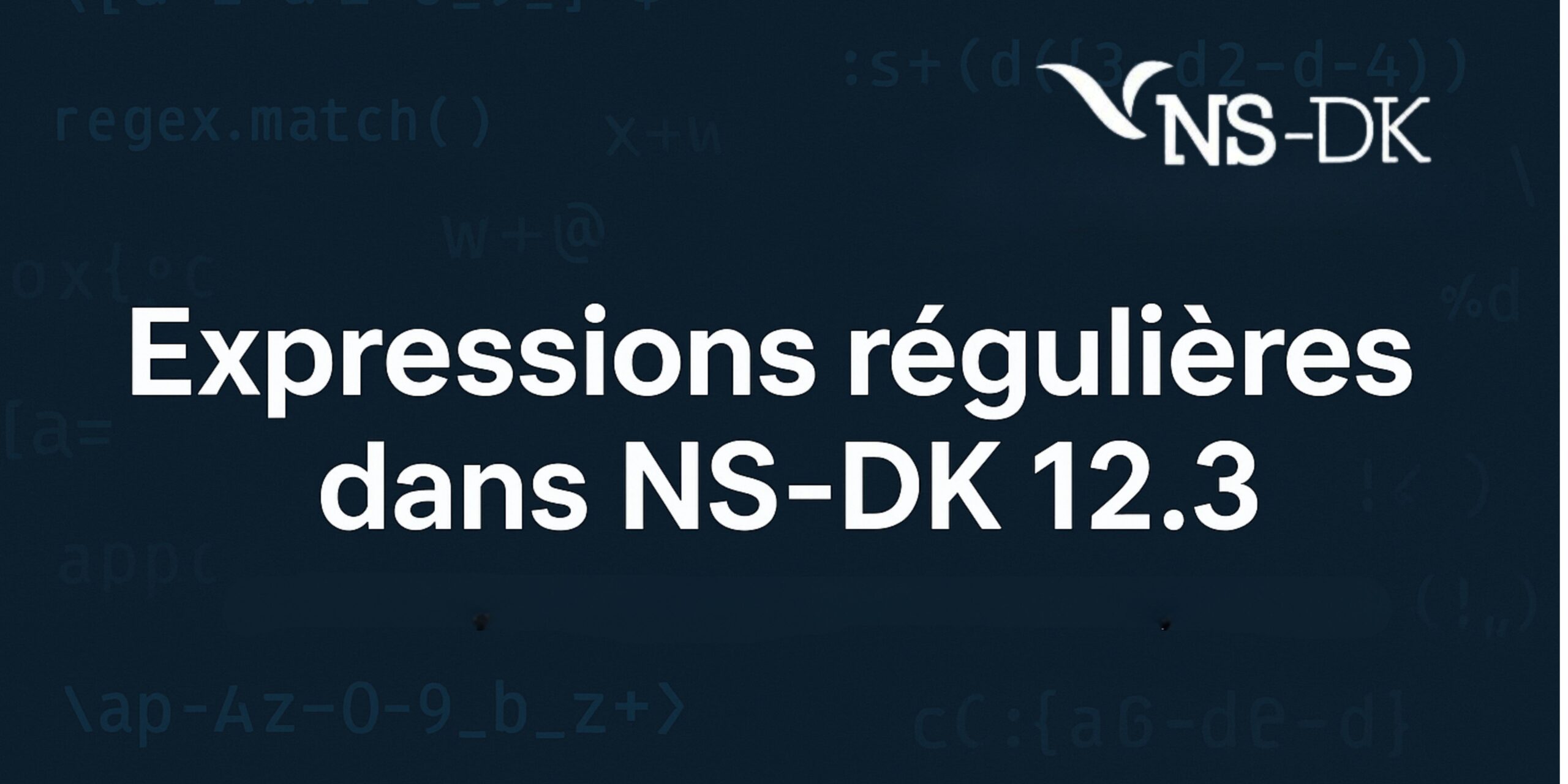 Les expressions régulières dans NS-DK 12.3 - Nat System